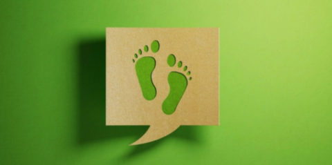 Bio-Resins - Turner Group