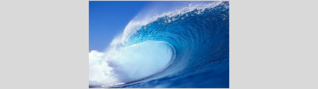 Swimming in A Blue Ocean - Turner Group